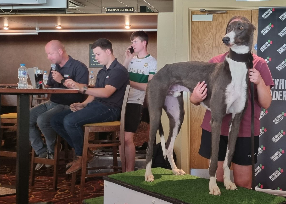 JET FLEW IN SHEFFIELD SALE - Greyhound Star | News from the Greyhound ...