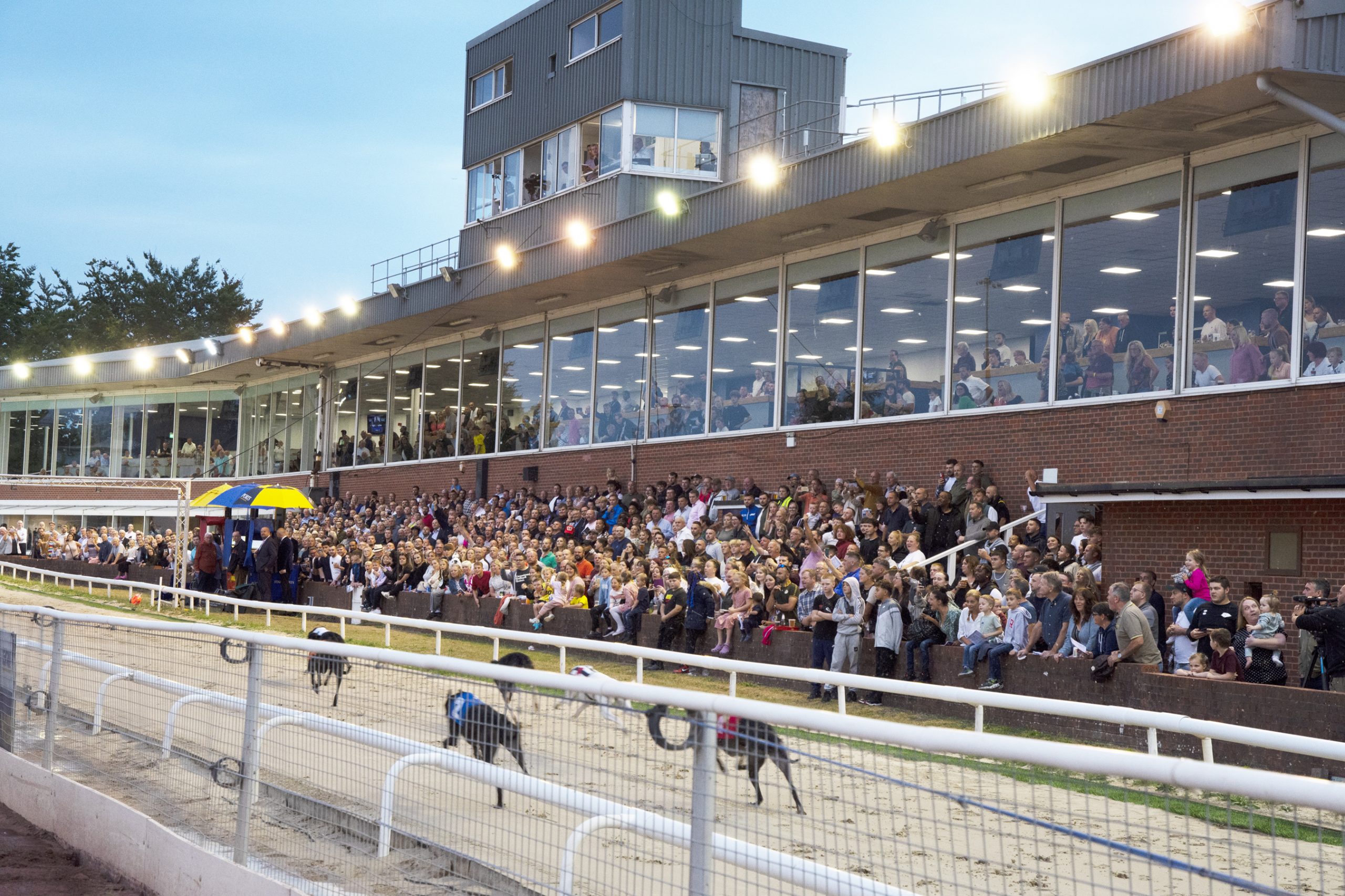OXFORD SUNDAY OPENS - Greyhound Star | News from the Greyhound Industry
