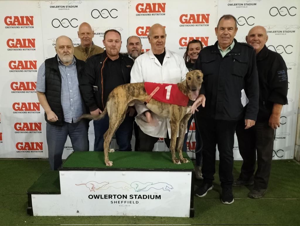 Three Steps First Round Video Review & Presentation Photos - Greyhound ...