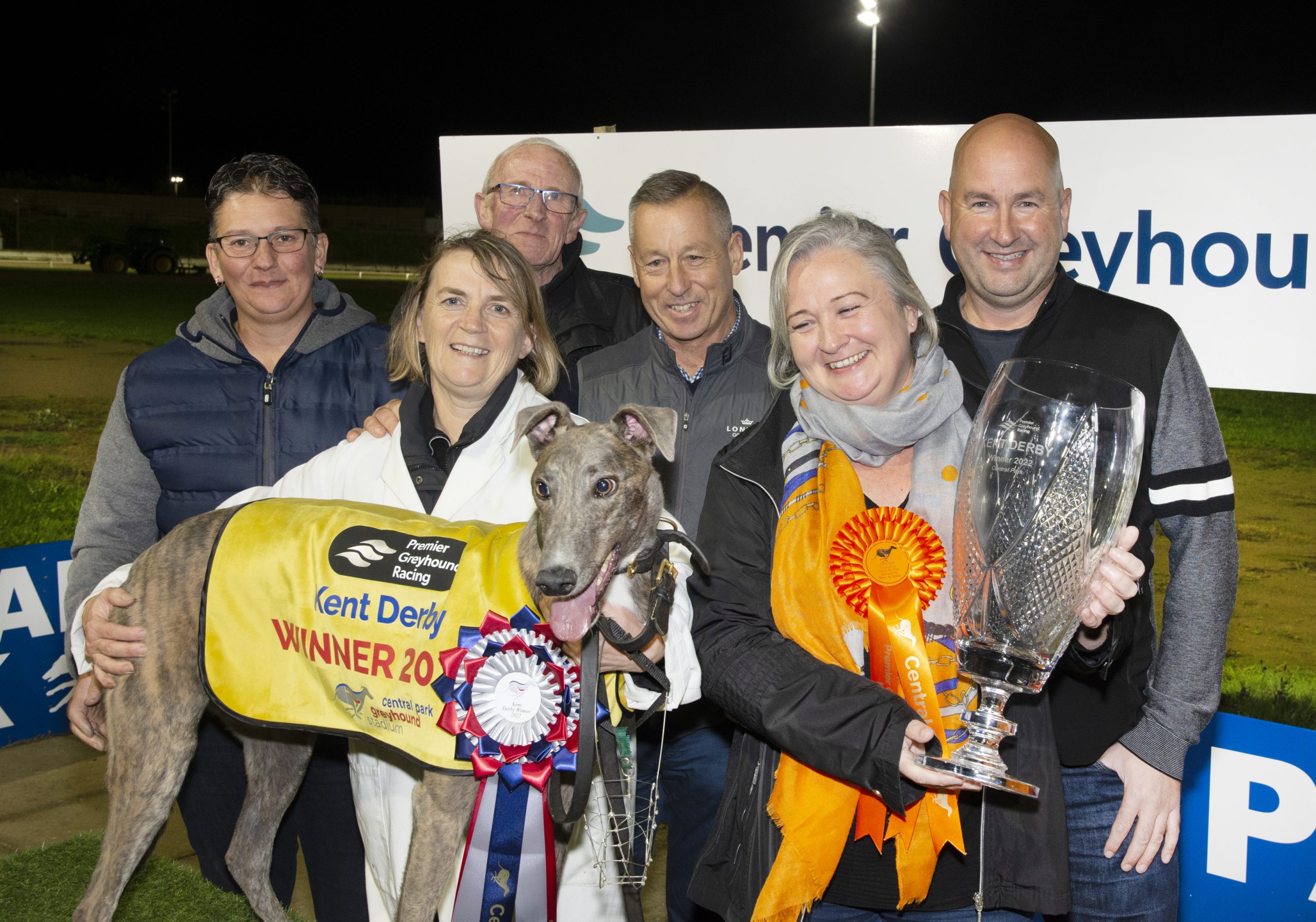 STAR OF DAVID - Greyhound Star | News from the Greyhound Industry