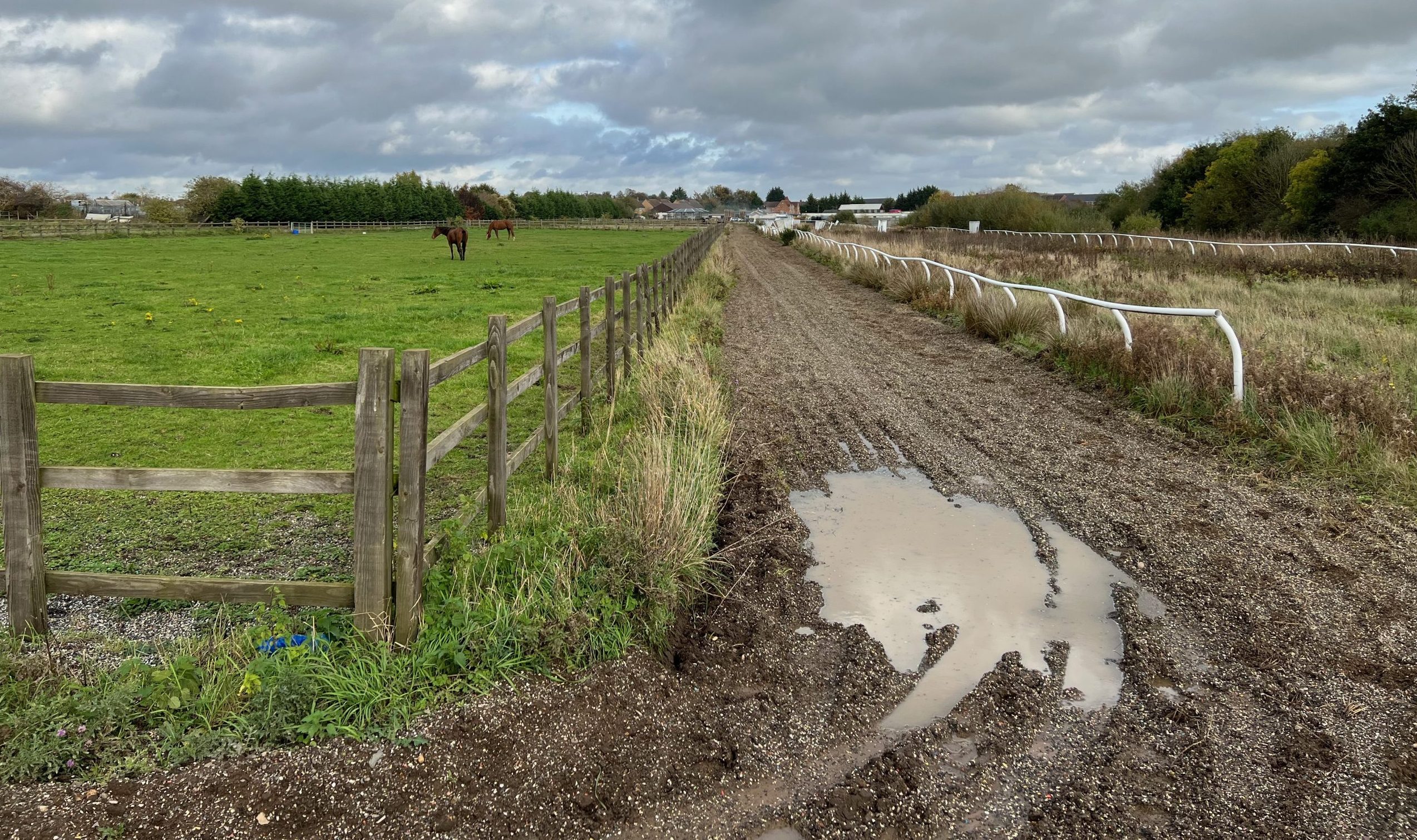 DONCASTER, ASKERN, AND SO MUCH MORE FOR THE WATSONS - Greyhound Star ...