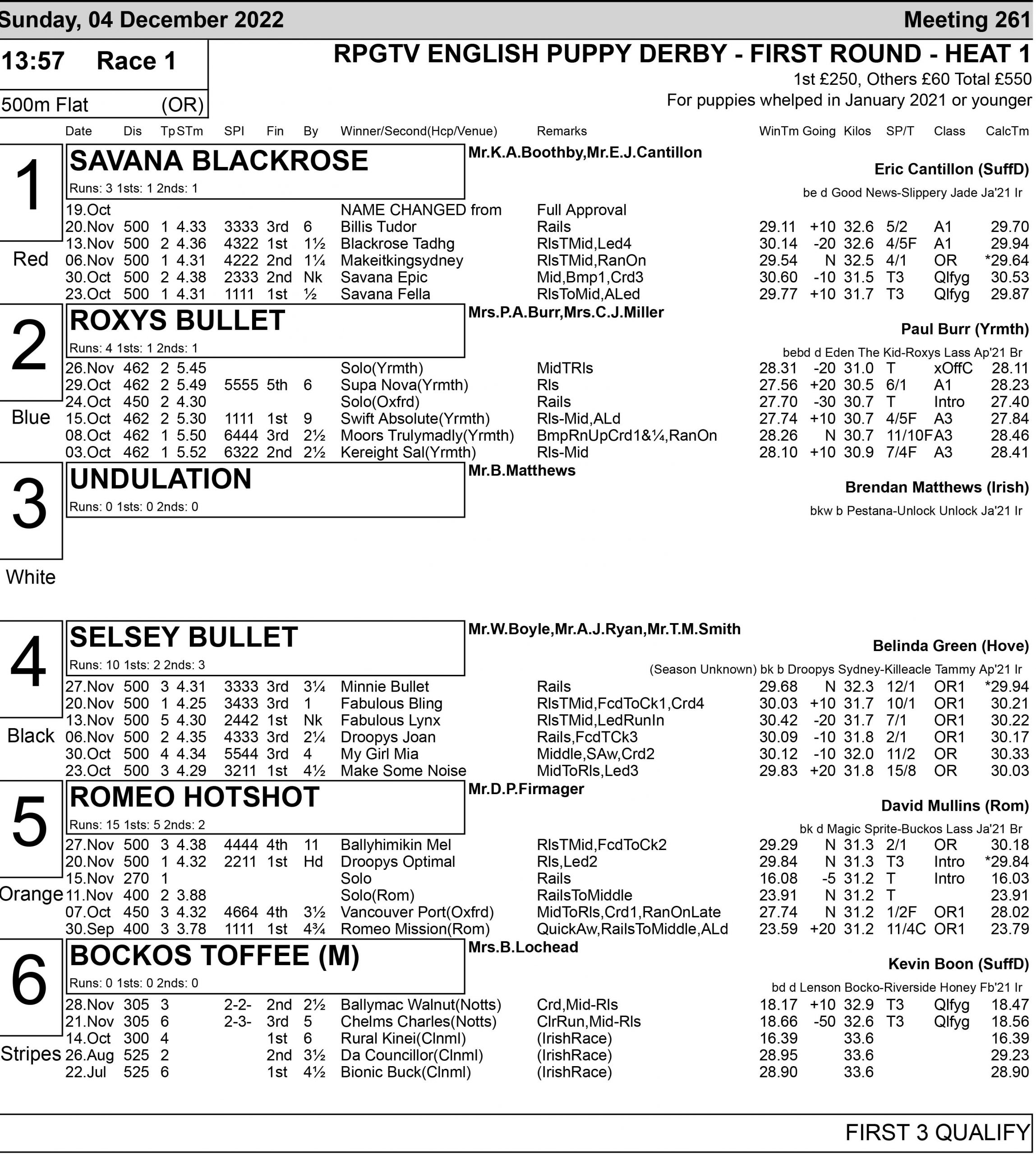 English Puppy Derby Card Preview & Full Form - Greyhound Star | News ...