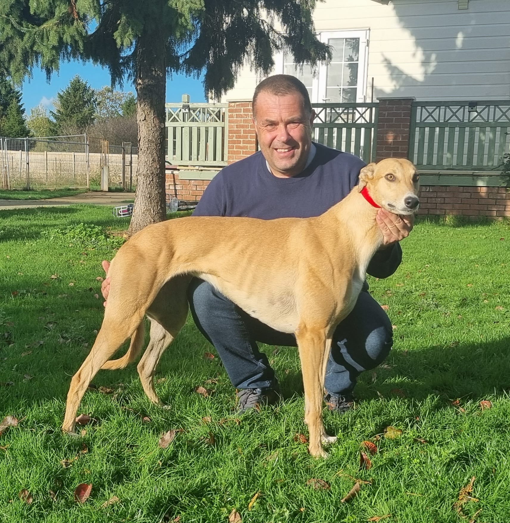 BREEDING GROUND: 42 YEARS OF TOUGH REARING - Greyhound Star | News from ...