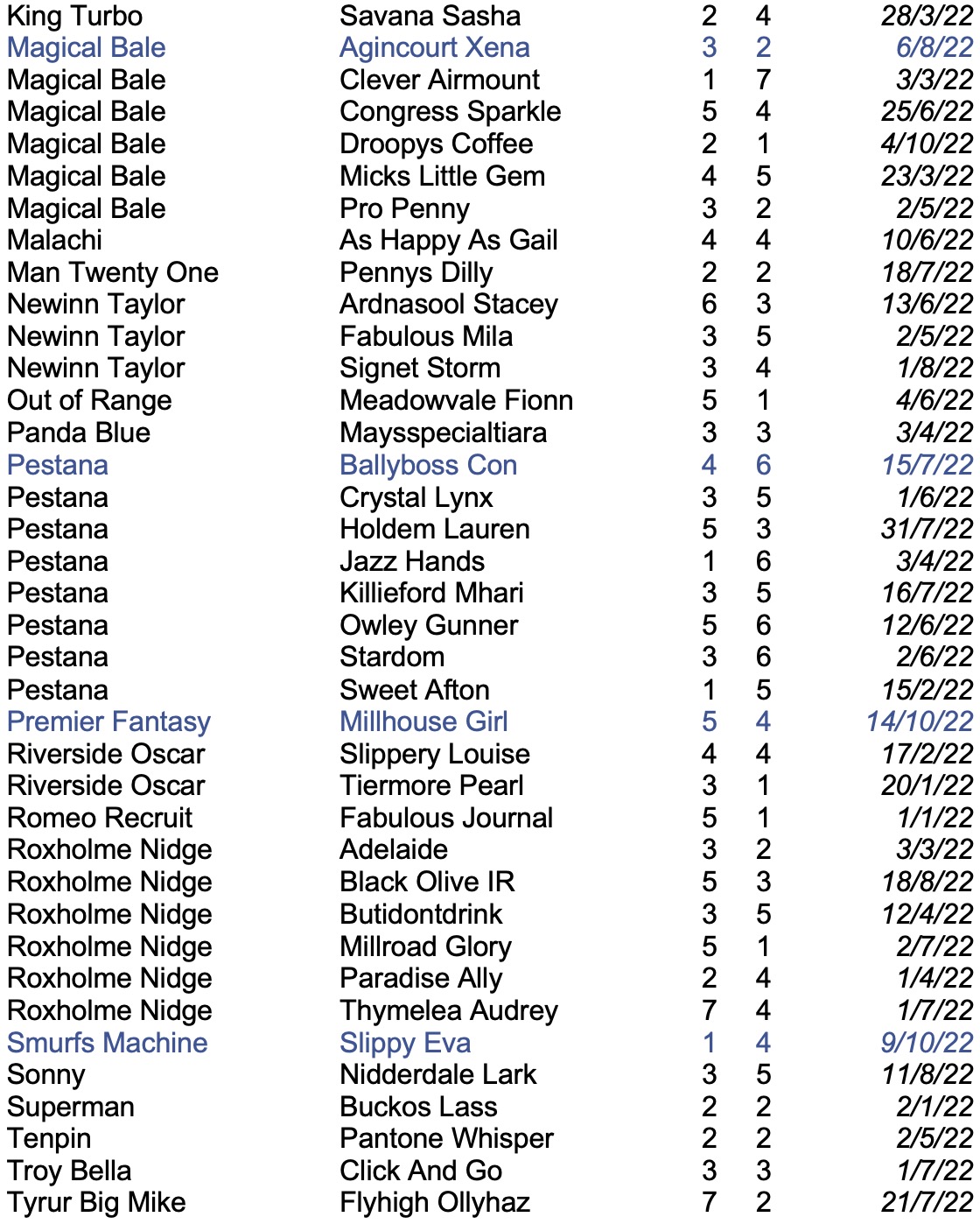 BREEDING GROUND - Greyhound Star | News from the Greyhound Industry