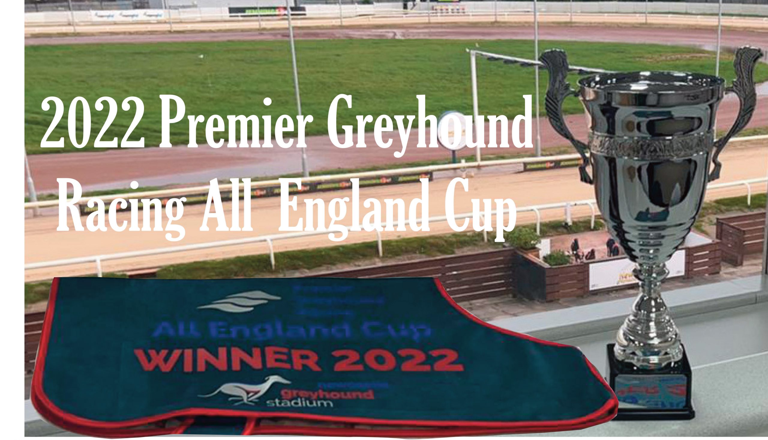 FIRST ROUND PREVIEW - Greyhound Star | News from the Greyhound Industry