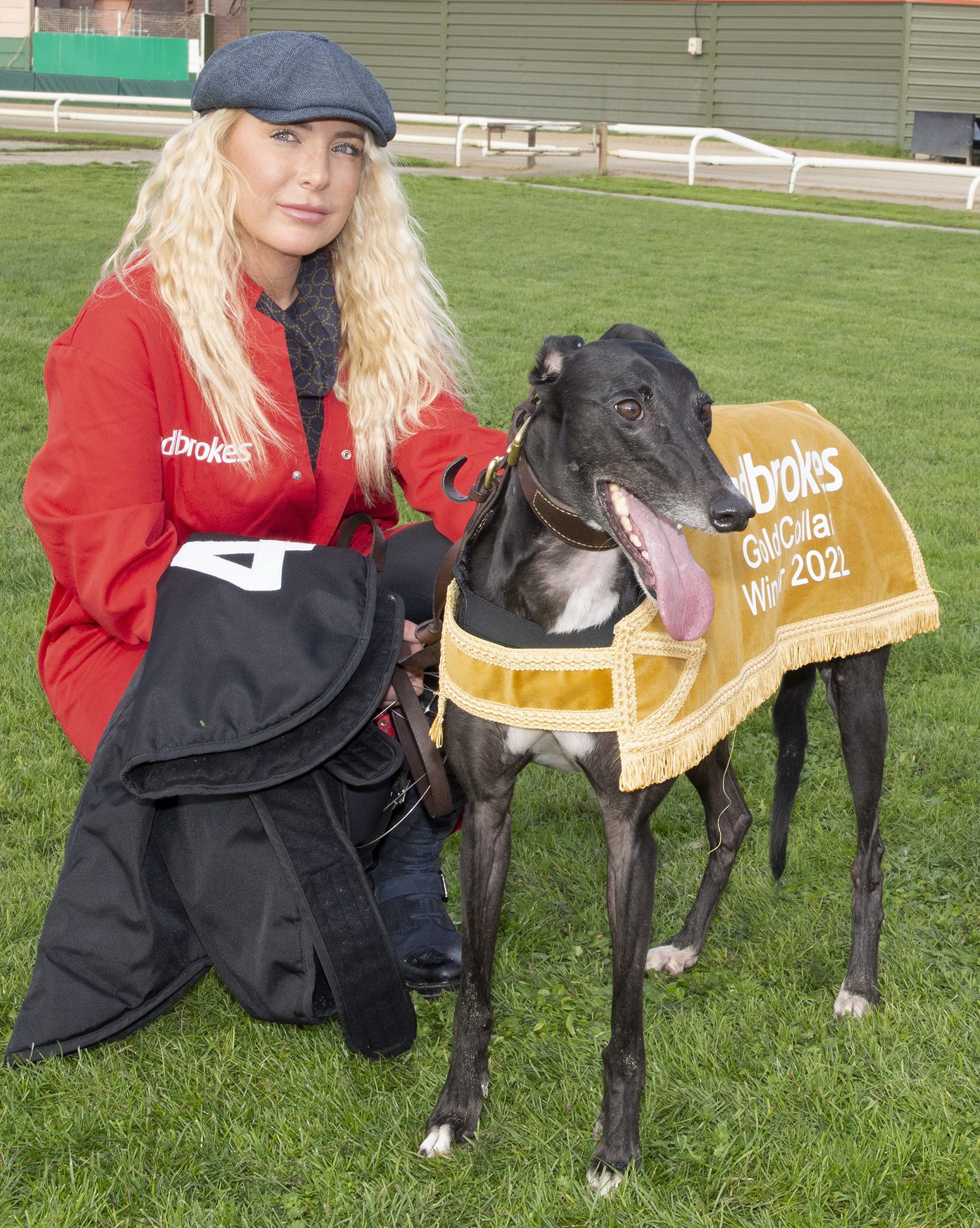 DIANE AND THE NON EXTINCT VOLCANO - Greyhound Star | News from the ...