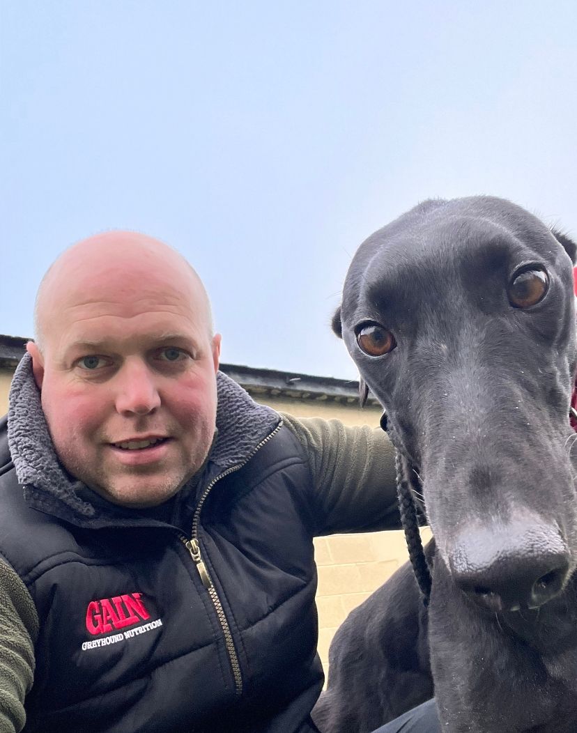 GBGB ANNOUNCE GRADED GREYHOUND OF THE YEAR - Greyhound Star | News from ...