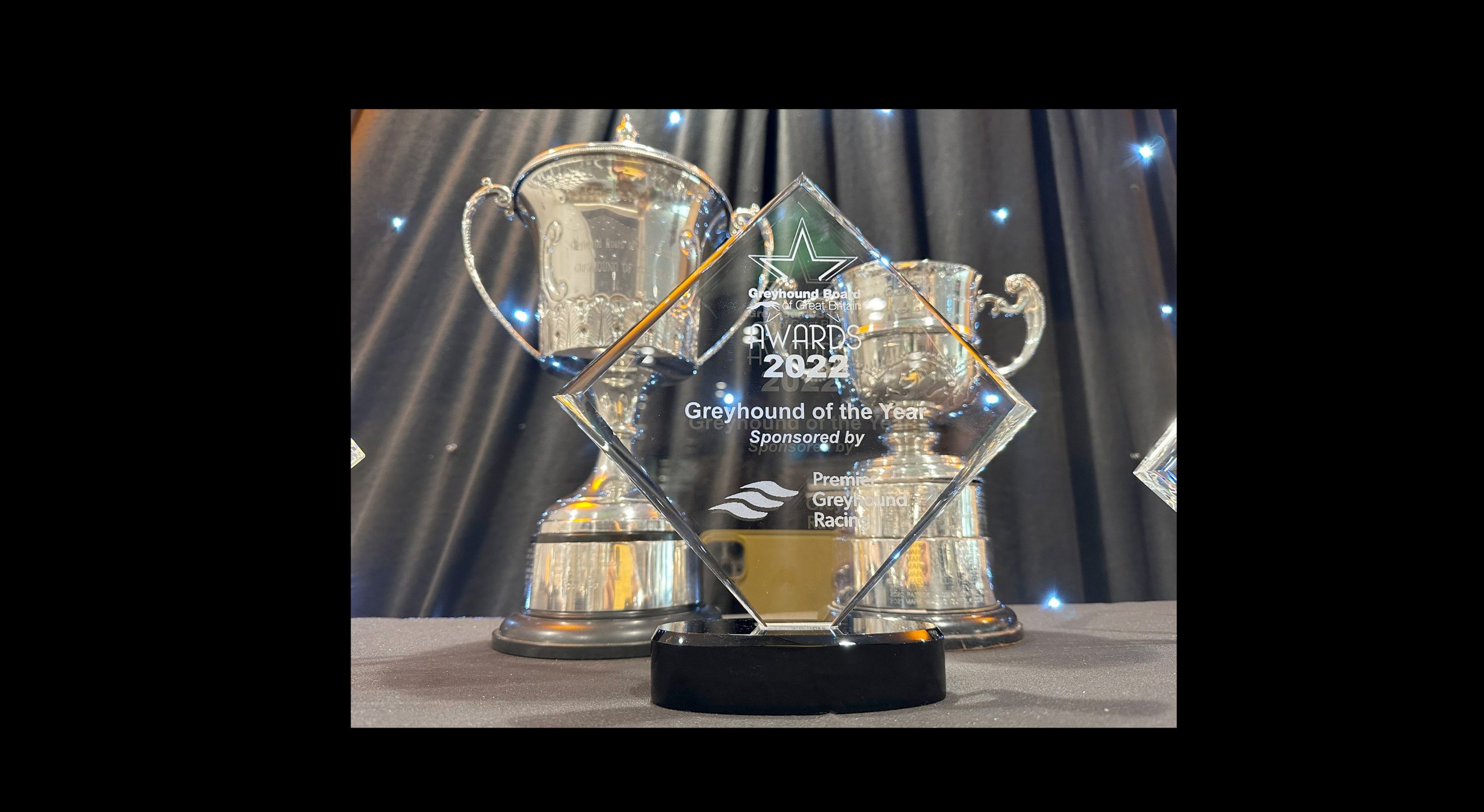 Awards Glory For Shane O'Gorman - Greyhound Star | News from the ...