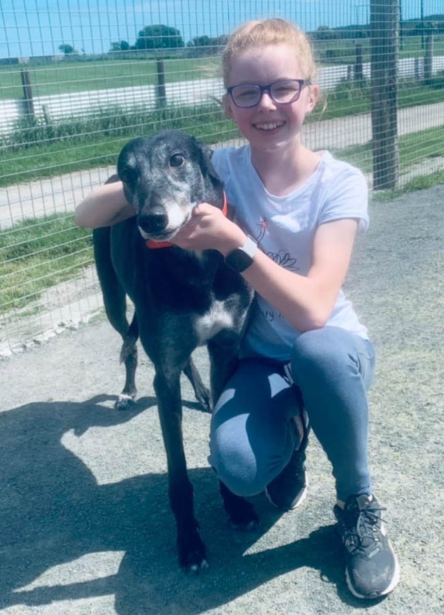 BREEDING GROUND - Greyhound Star | News from the Greyhound Industry