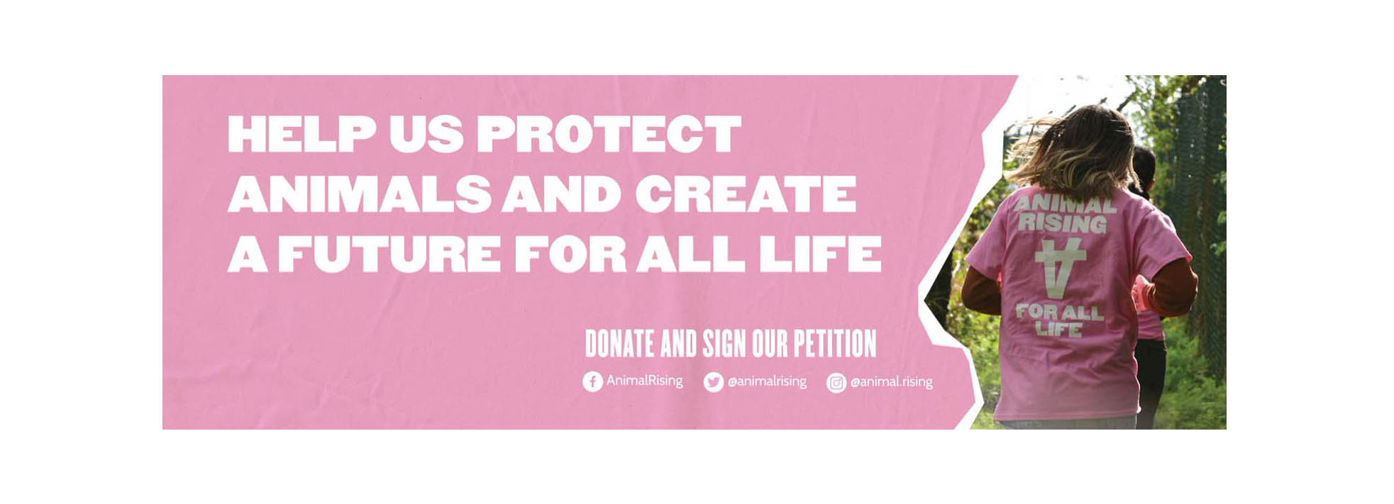 ANIMAL RISING ARRESTS AHEAD OF DERBY - Greyhound Star | News from the ...