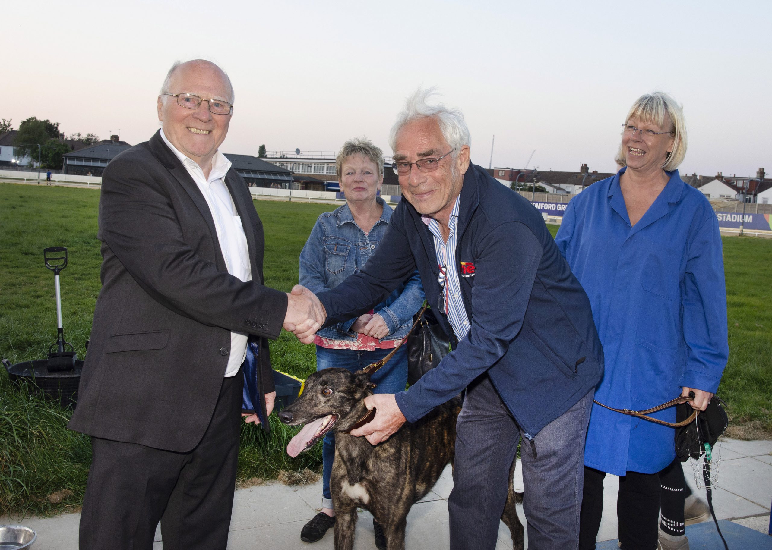 BRITISH PERFORMANCE OF THE WEEK - Greyhound Star | News from the ...