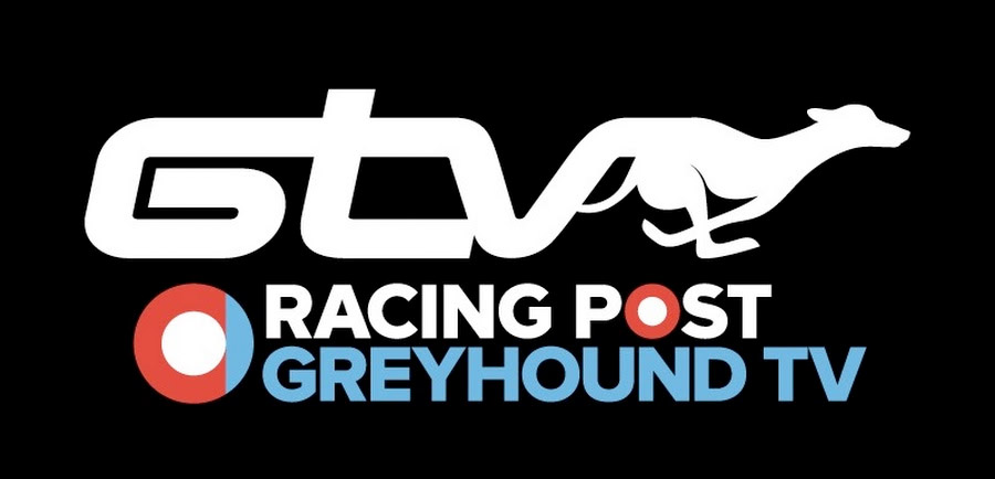 CHECK OUT ASHLEE ON TIKTOK - Greyhound Star | News from the Greyhound ...