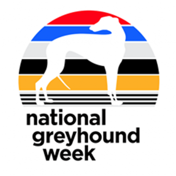 GBGB LAUNCHES FIRST-EVER NATIONAL GREYHOUND WEEK - Greyhound Star ...