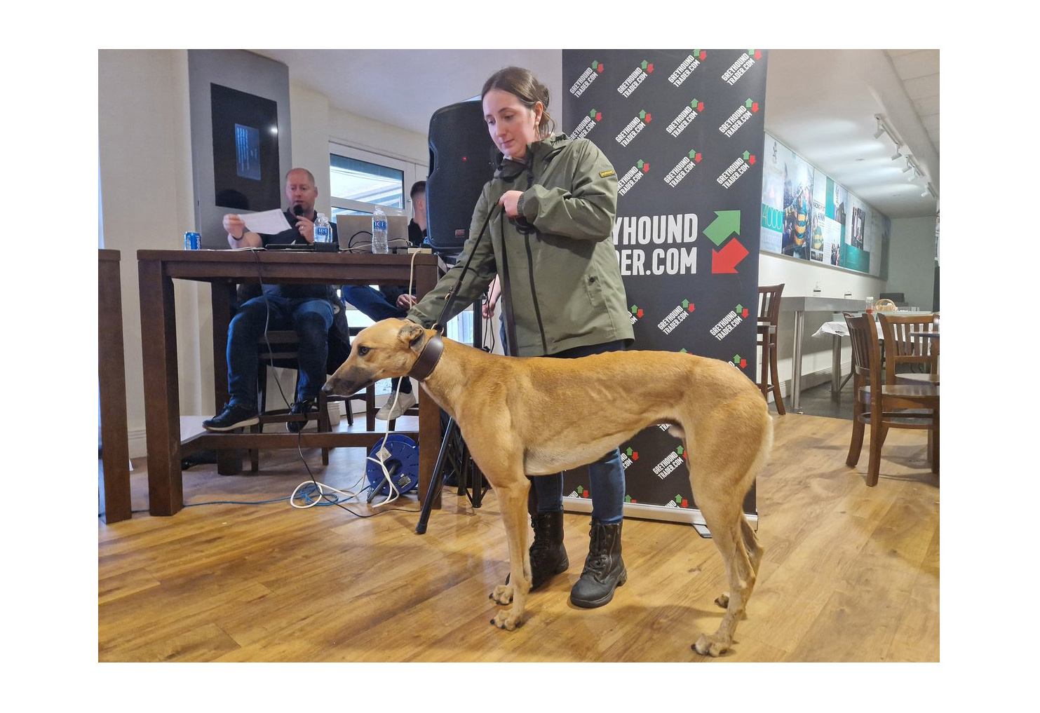 £96K turnover for another busy 'Trader' sale - Greyhound Star | News ...