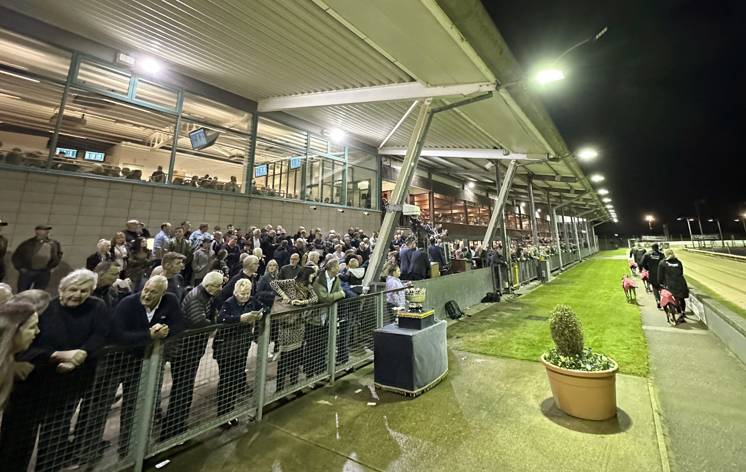 GONE TO THE DOGS LIVE BROADCAST - Greyhound Star | News from the ...