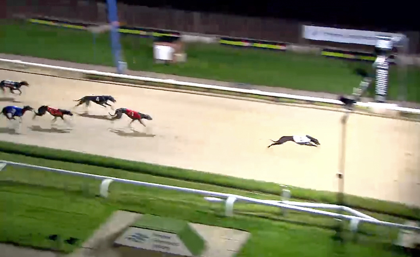 UPDATE! FIRST MANDOLIN - OAKS/SCURRY REVIEW - Greyhound Star | News ...