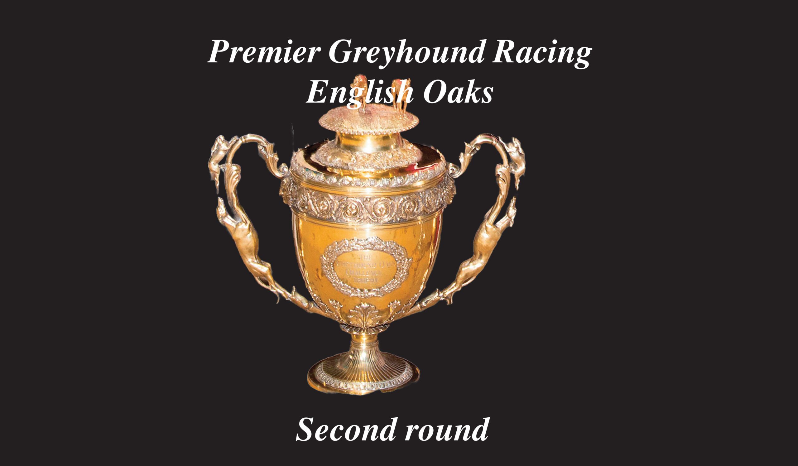 - Greyhound Star | News from the Greyhound Industry