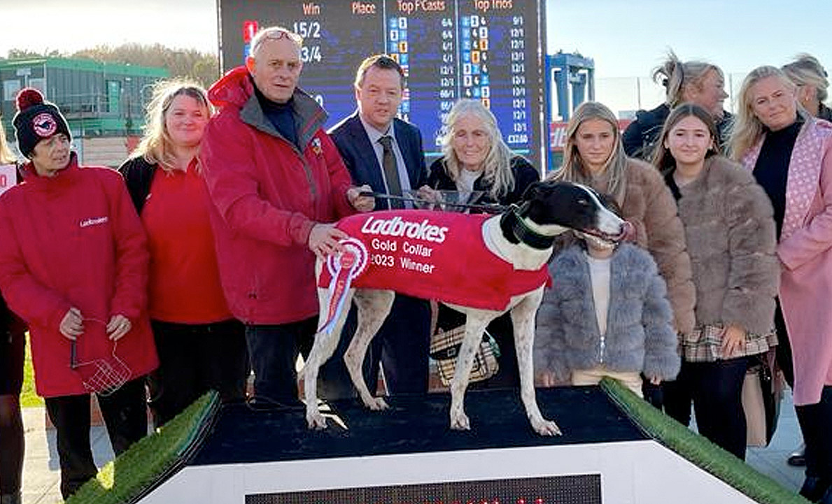 DESERVEDLEE RESPECTED - Greyhound Star | News from the Greyhound Industry