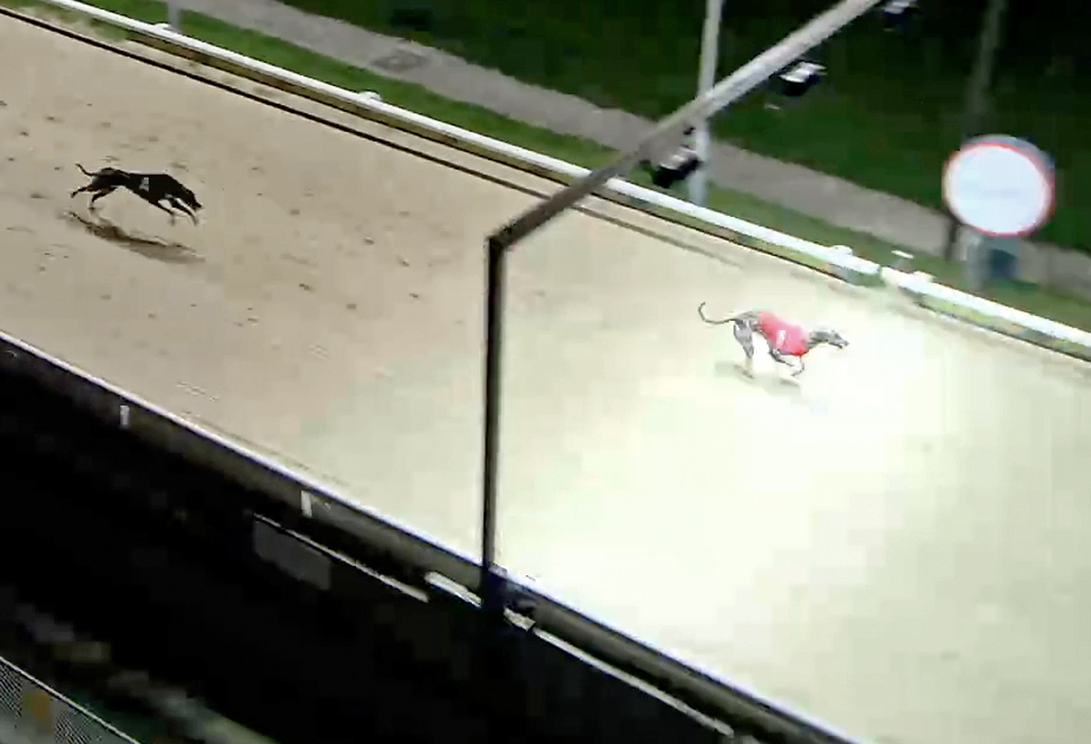 Iconic victory and Maverick shock - Greyhound Star | News from the ...