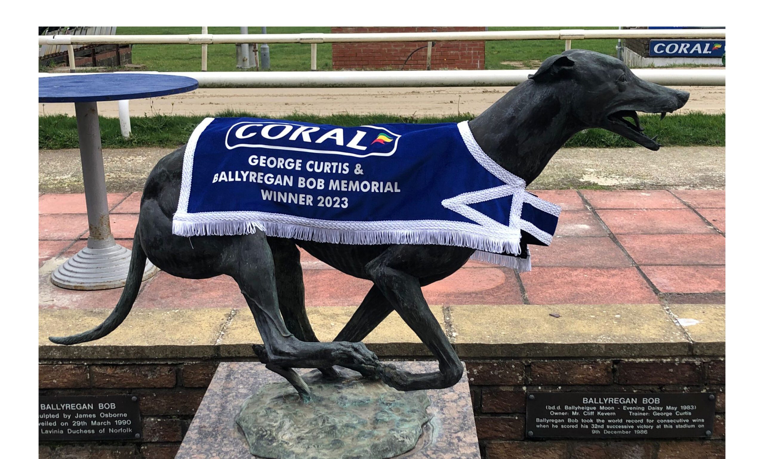 THURSDAY ROUND UP - Greyhound Star | News from the Greyhound Industry