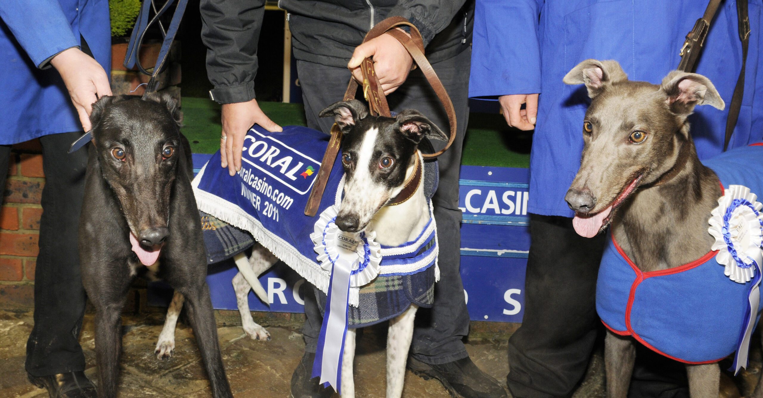 REMEMBER WHEN: DECEMBER - Greyhound Star | News from the Greyhound Industry