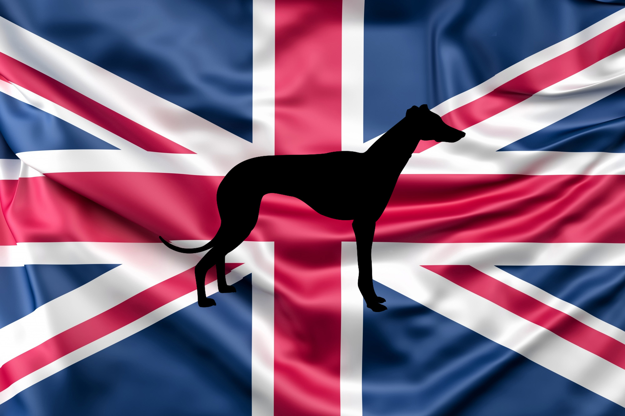 BRITISH TRACK RECORDS - Greyhound Star | News from the Greyhound Industry