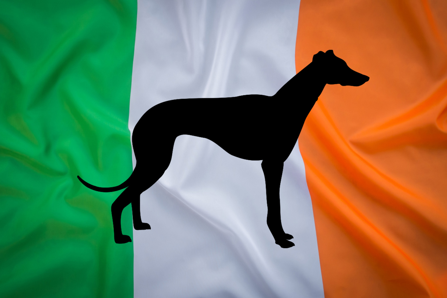 IRISH TRACK RECORDS - Greyhound Star | News from the Greyhound Industry