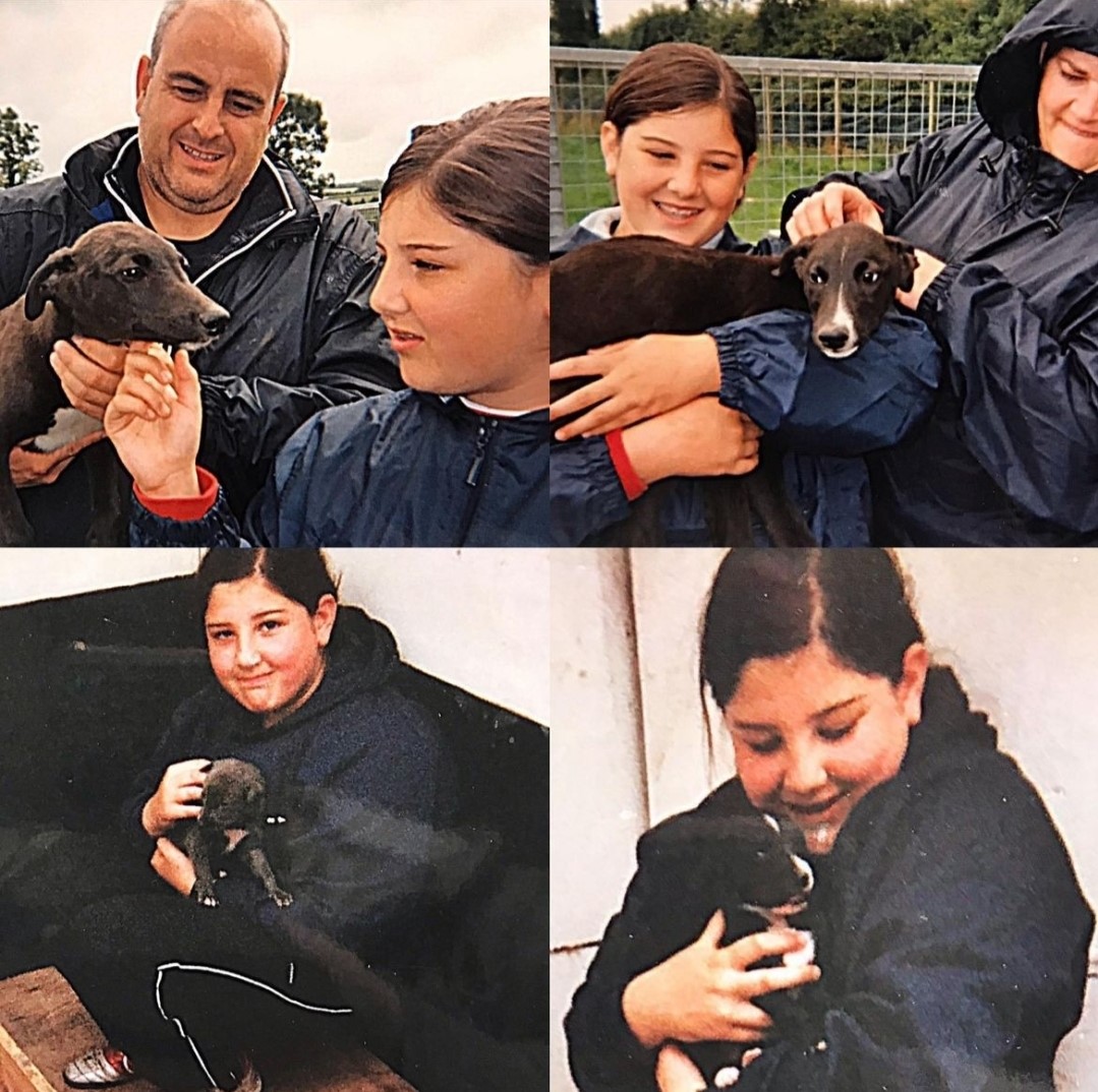 Hopkins Bows Out Of The Sport - Greyhound Star | News from the ...