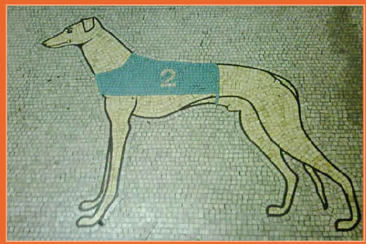 TUESDAY ROUND UP - Greyhound Star | News from the Greyhound Industry