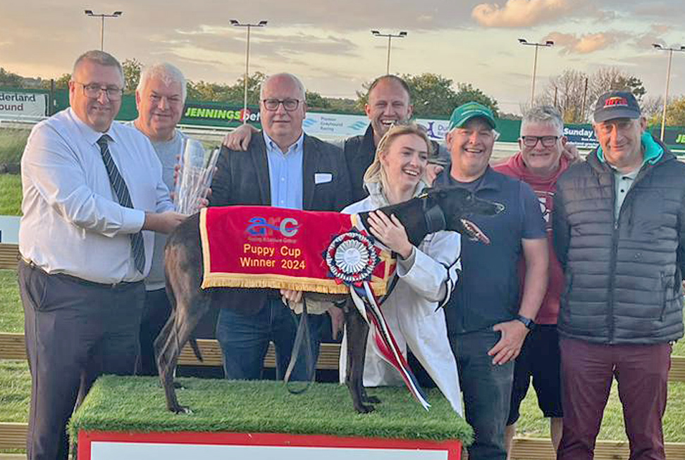 SUNDAY ROUND UP - Greyhound Star | News from the Greyhound Industry